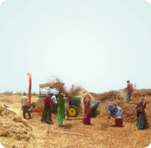 Our Bioenergy Network | BiofuelCircle